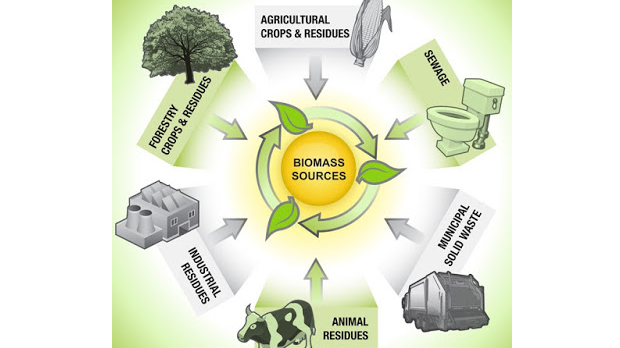 Bioenergi, Energi dari Mahkluk Hidup - PengetahuanSaya