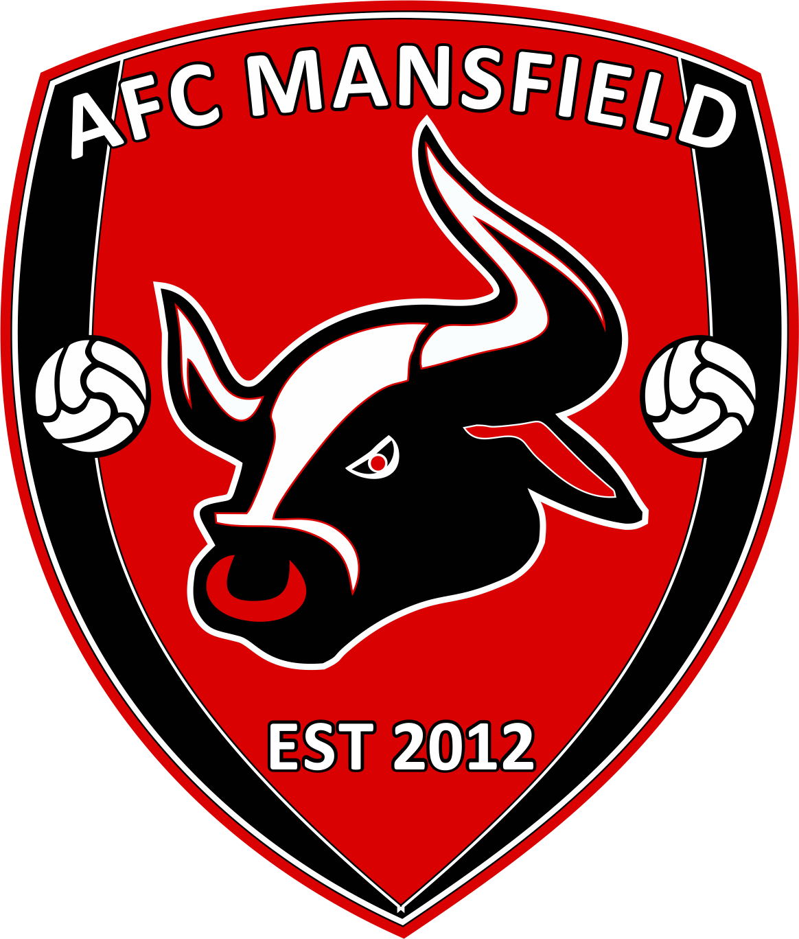 AFC MANSFIELD: AFC Mansfield Academy