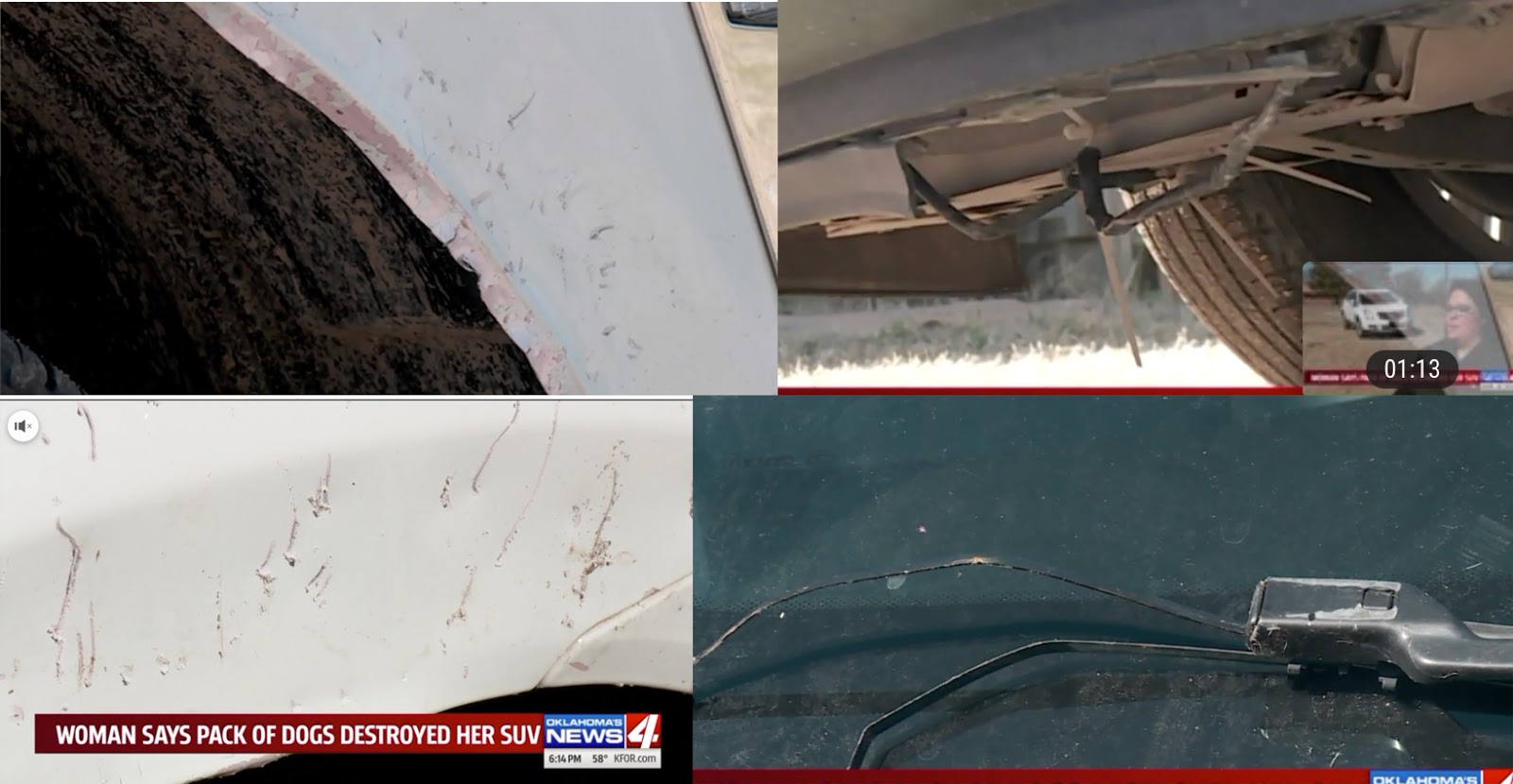 Safety Before Pit Bulldogs: Extreme Attacks: List of Pit Bulls that ...