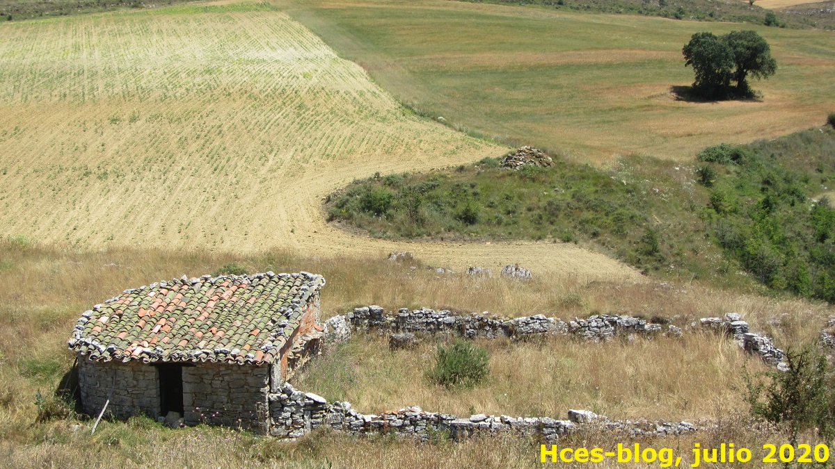Huérmeces (Burgos): Acedillo: la Pinza provenzal