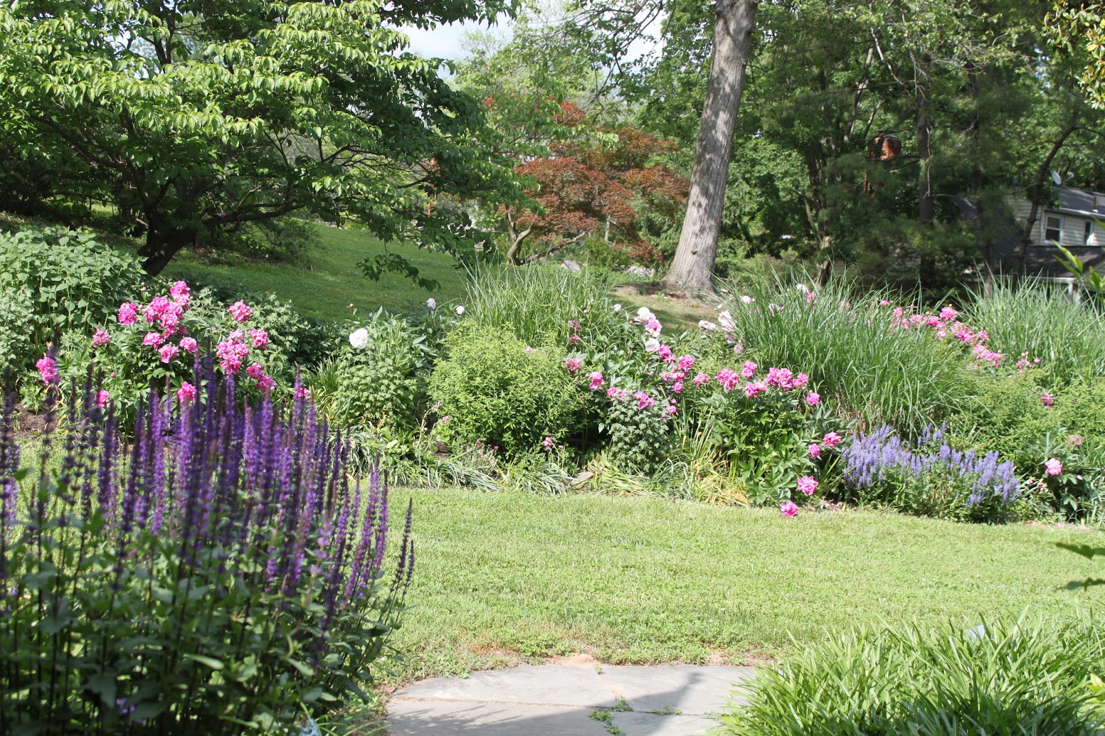 Pat's Addition: Peony Patch Glory