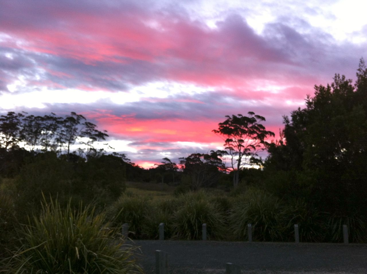 while not null: Springbrook National Park and Fingal Head, Australia
