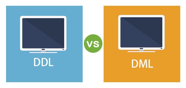 Difference Between DDL and DML | DB Exam Study