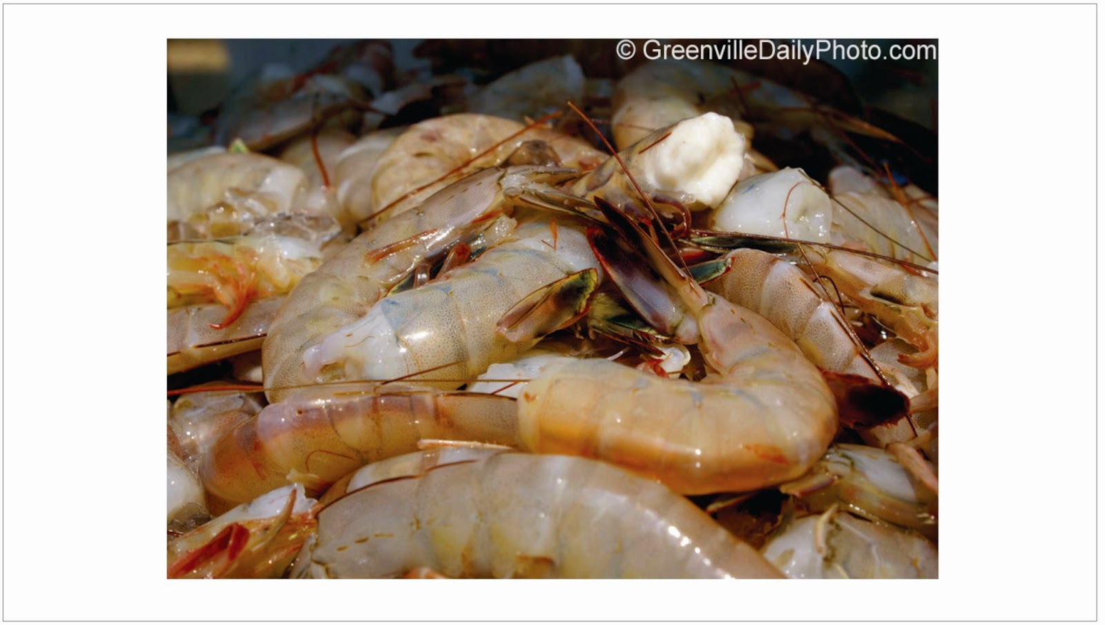 deEuwi: Pengetahuan Bahan Pangan (Perikanan >> Udang)