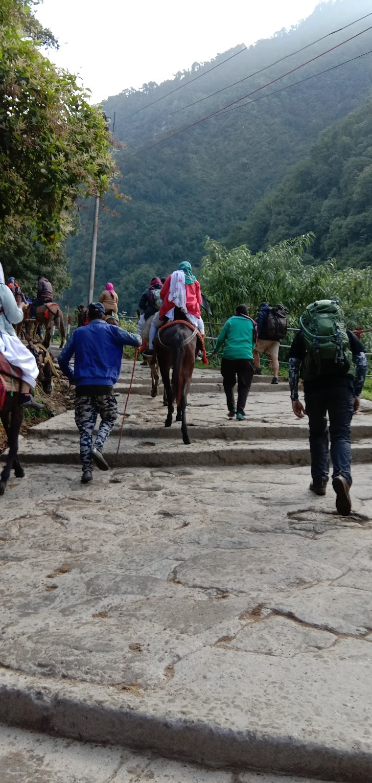 Mystic Himalayas - The Unplanned Plan