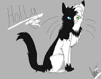 Varjak Paw Fan Blog