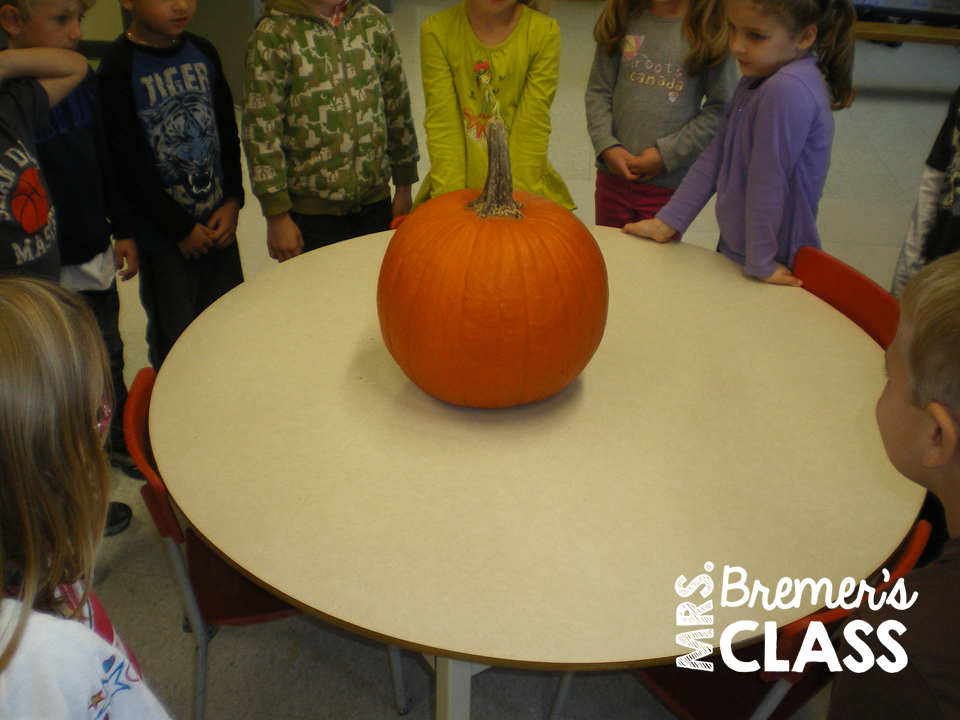 Pumpkin Fun! {Math and Literacy Activities with Pumpkins!} | Mrs ...
