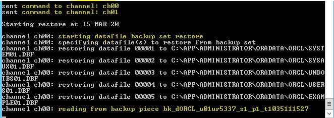 Remote Infrastructure Management: NetBackup - Performing ORACLE ...