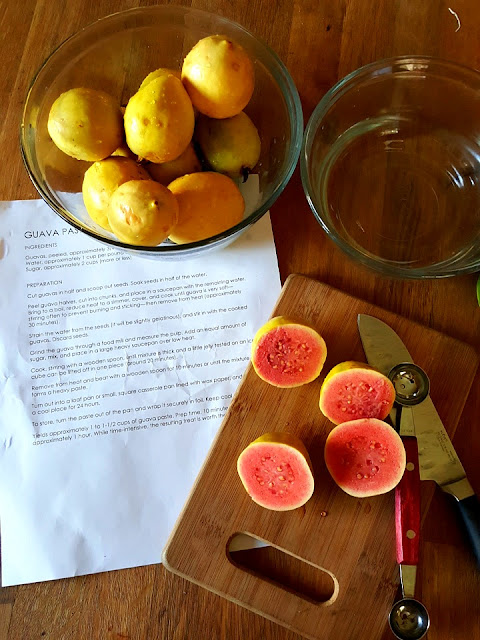 Homemade Guava Paste
