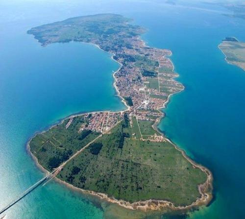 Sašo Korošec: Otok VIR