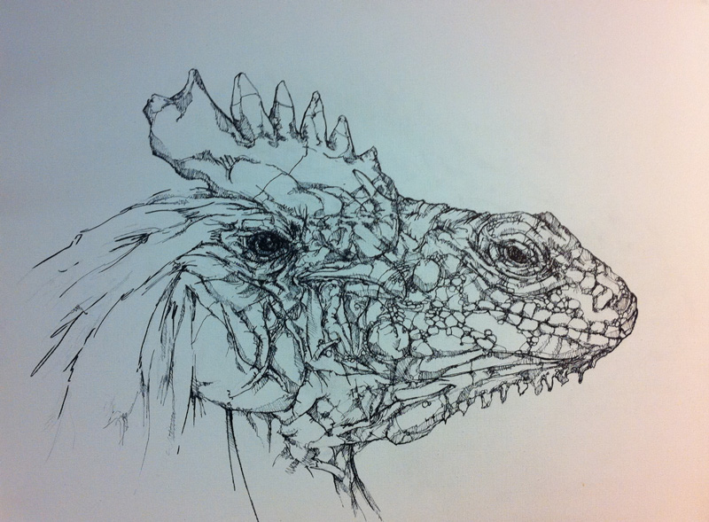 This and That - News and Updates From Artist Jon Shaw: Hybrid Animal Pieces