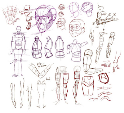 Learning drawing principles: figuredrawing