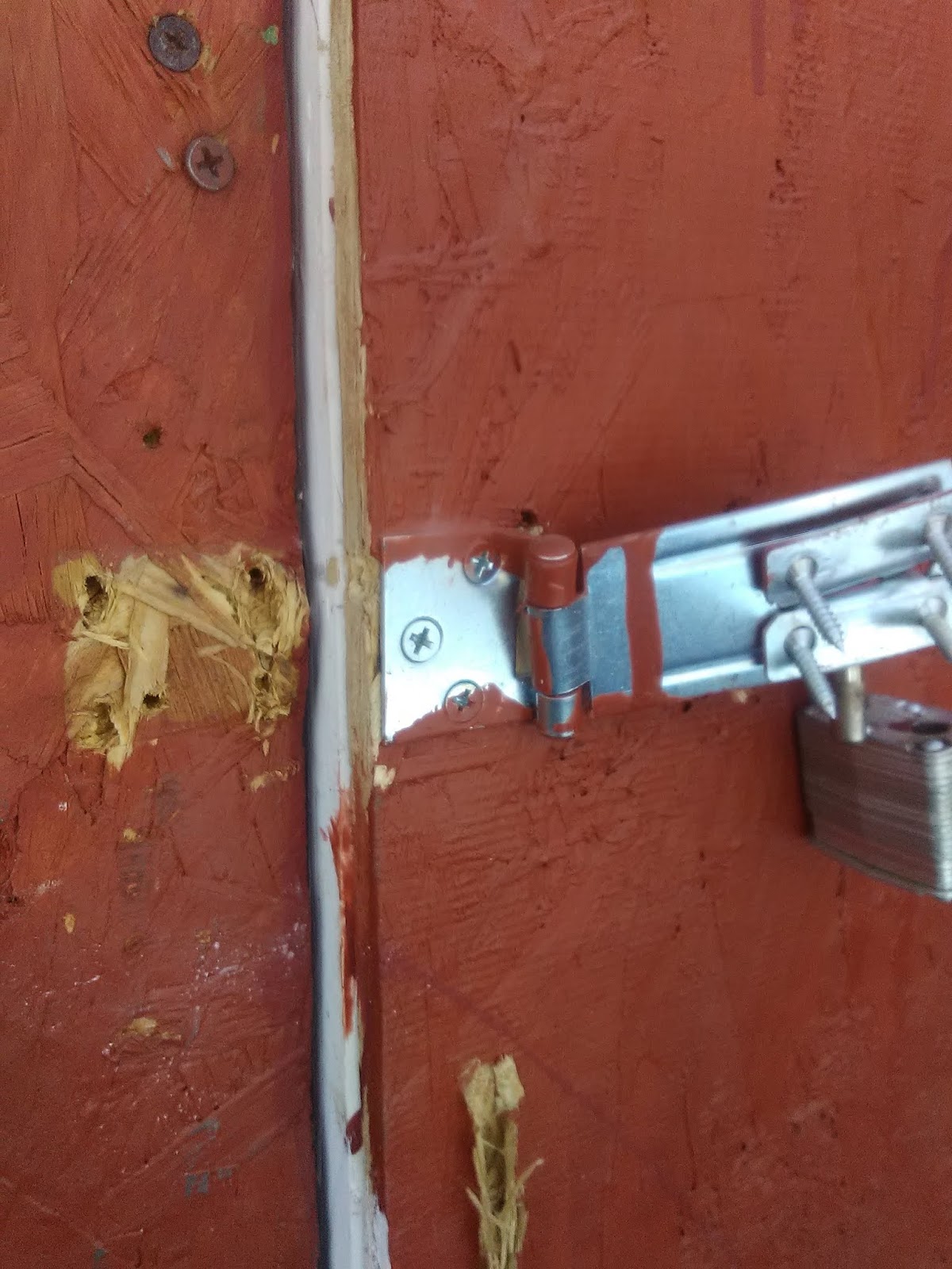 Lee Craven: Lee Craven (Arizona) Overview of Who He is and Some Damages ...