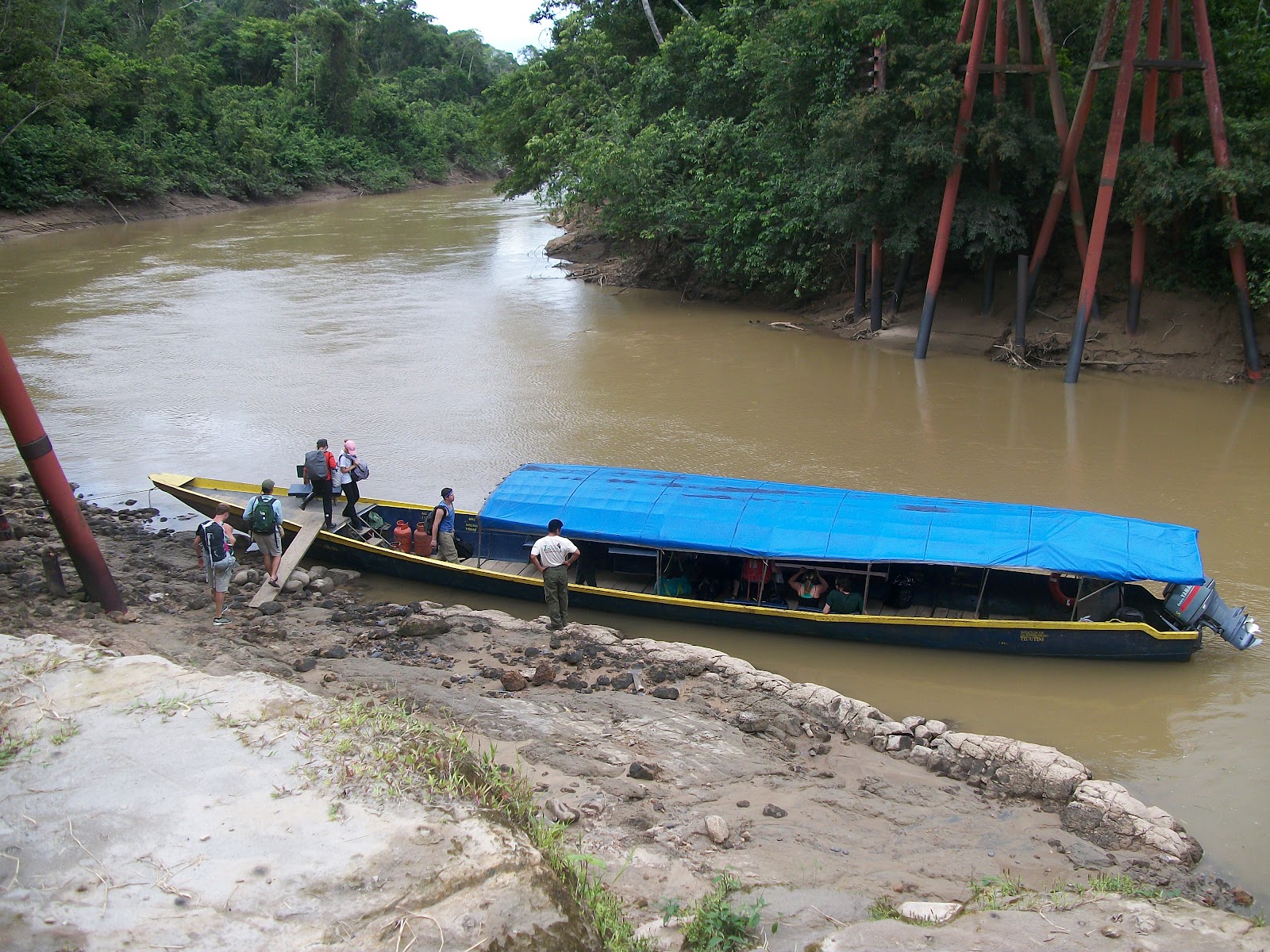 Study Abroad Semester in Ecuador!: Tiputini Biodiversity Station