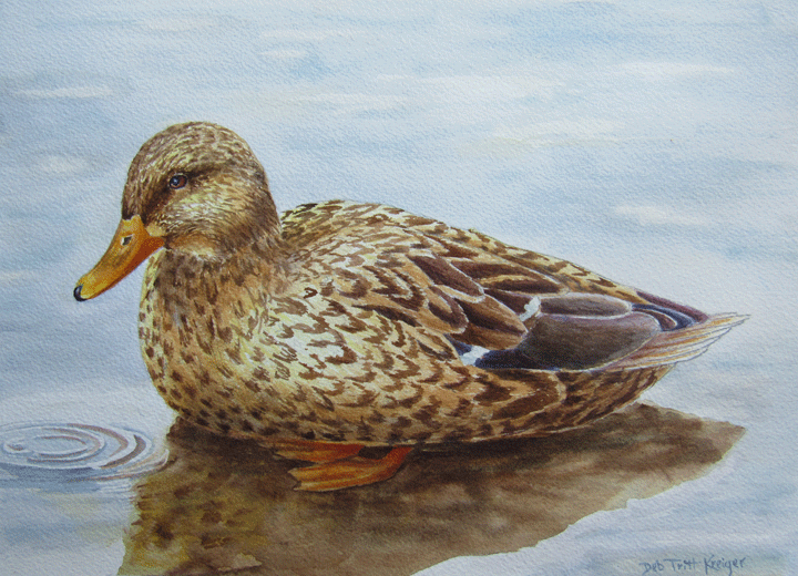 Daily Painters of Pennsylvania