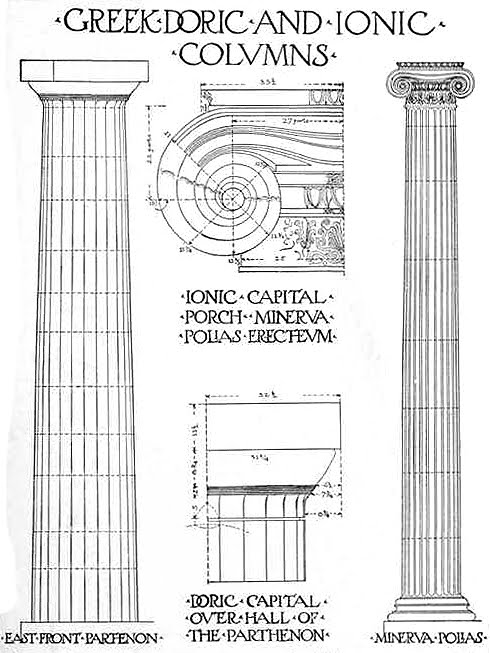 Doric%26Ionic.jpg (490×653) | Doric, Doric column, Architectural columns