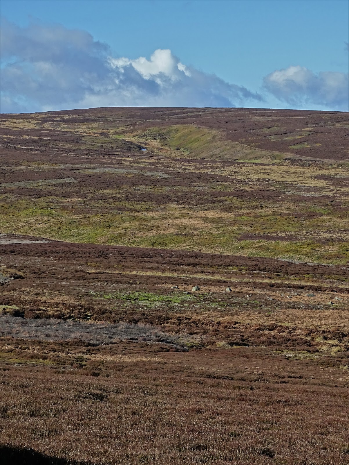 Yorkshire Pudding: Emlin