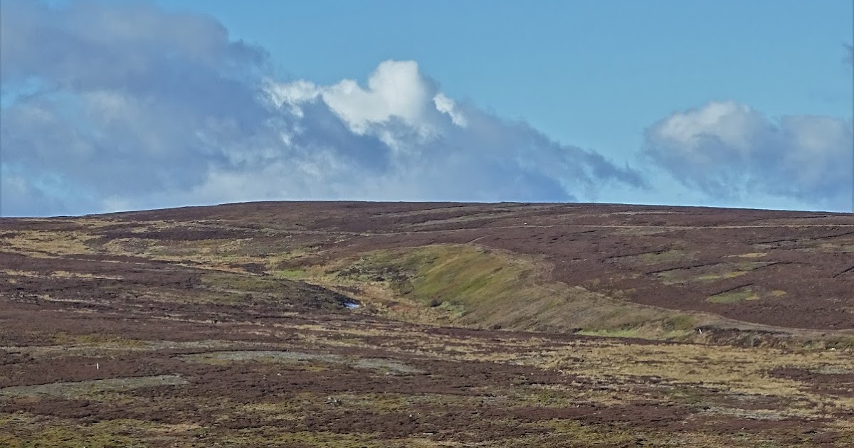 Yorkshire Pudding: Emlin