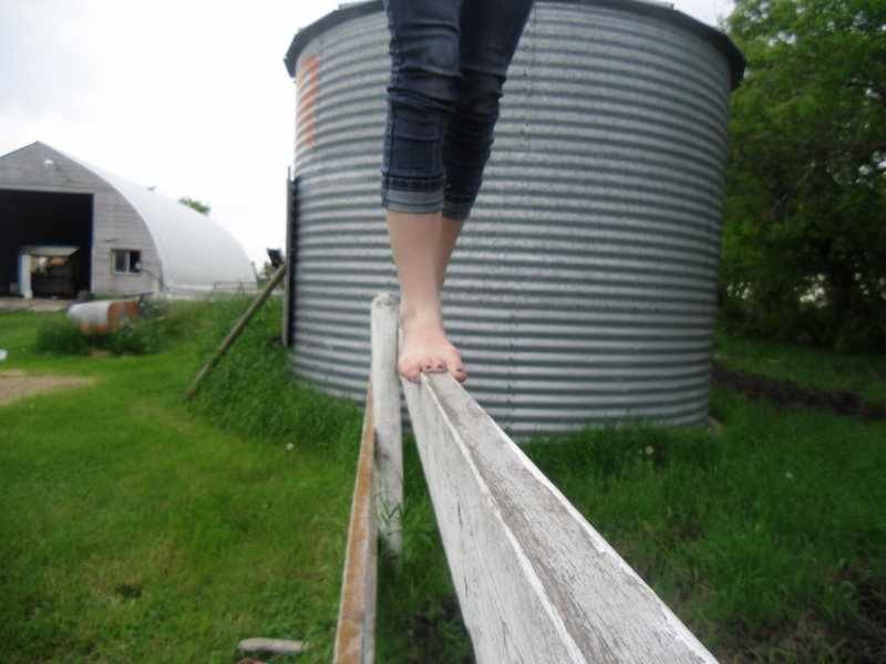 FeetXpress - A Dutch Foot Blog: Farm feet - part 1
