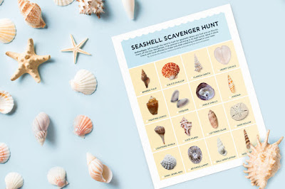 seashell scavenger hunt and identification flashcards: a stay-at-home ...