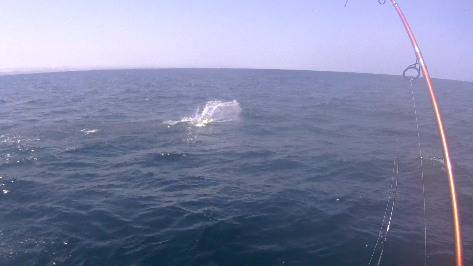 GANG SURFCASTING: Top Water Spinning Video