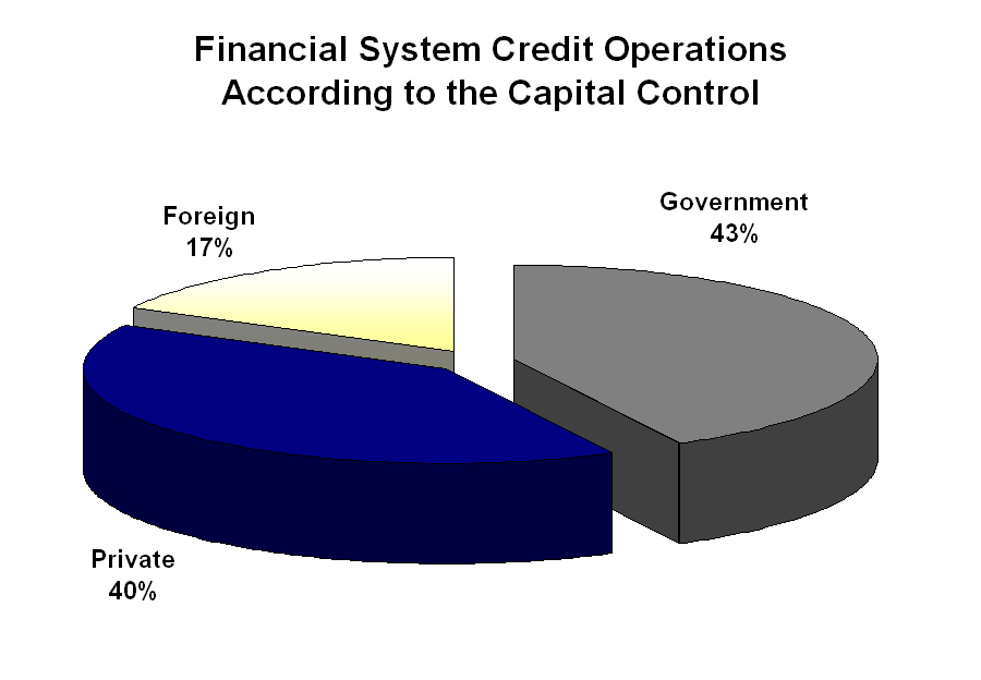 Brazil Monitor: Brazil: Credit Operations According to the Capital ...