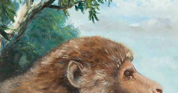 TRAS LAS HUELLAS DE HERÓDOTO. . . : AEGYPTOPITHECUS.