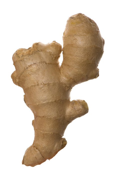 Tickety Talk: George’s Guide to Ginger