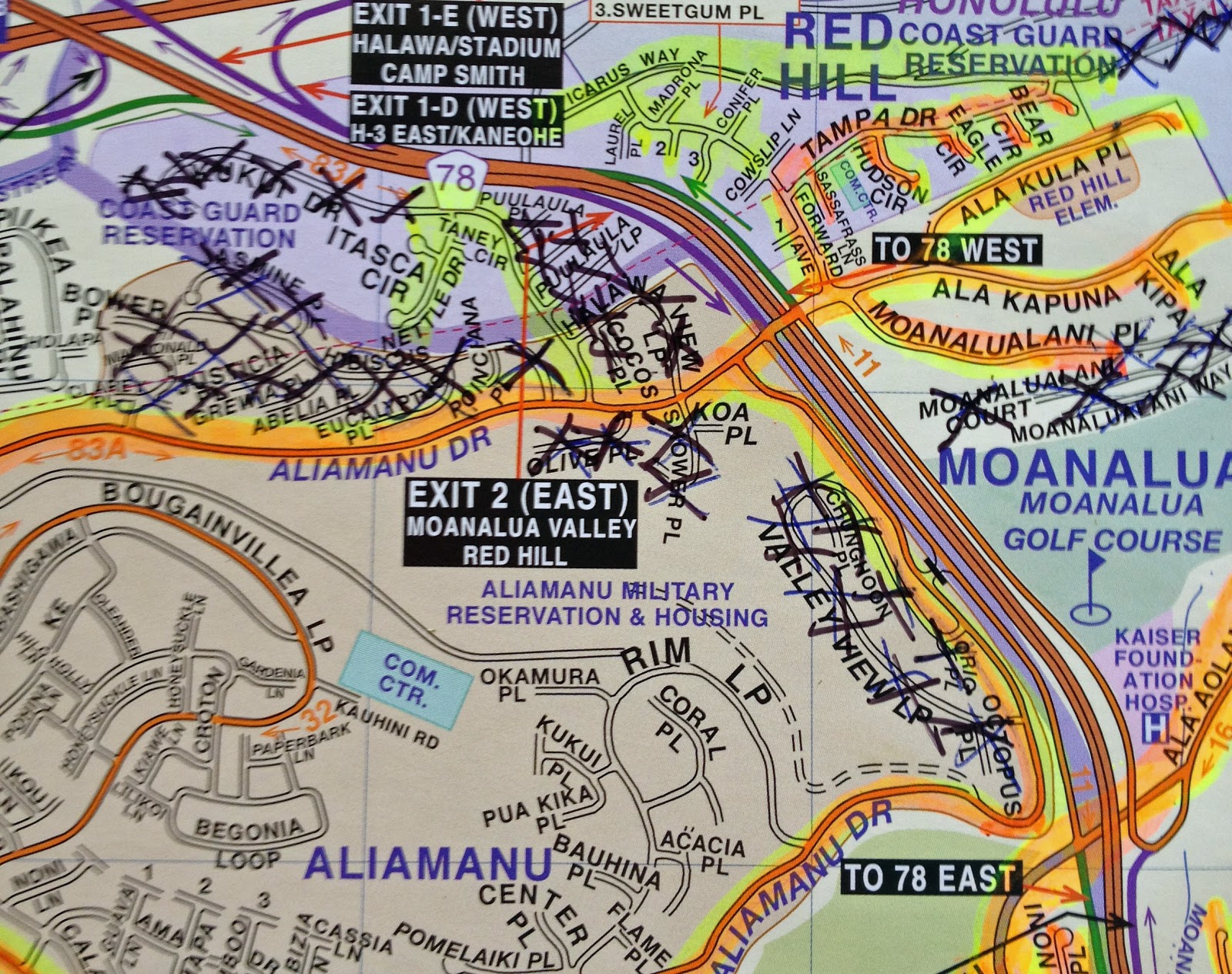 The Walking Hawaiian