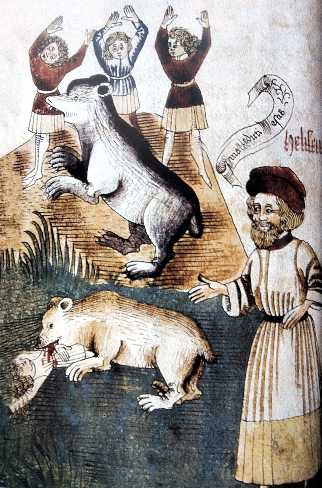 Viajes naturalistas y otras hierbas: El oso. Historia de un rey ...