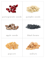 The Helpful Garden: Types of Seeds Cards