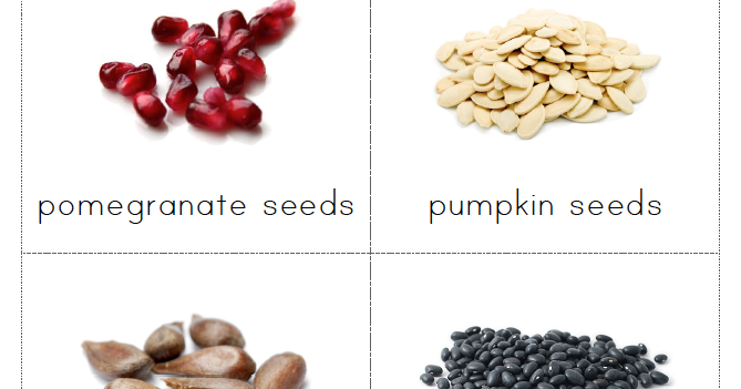 The Helpful Garden: Types of Seeds Cards