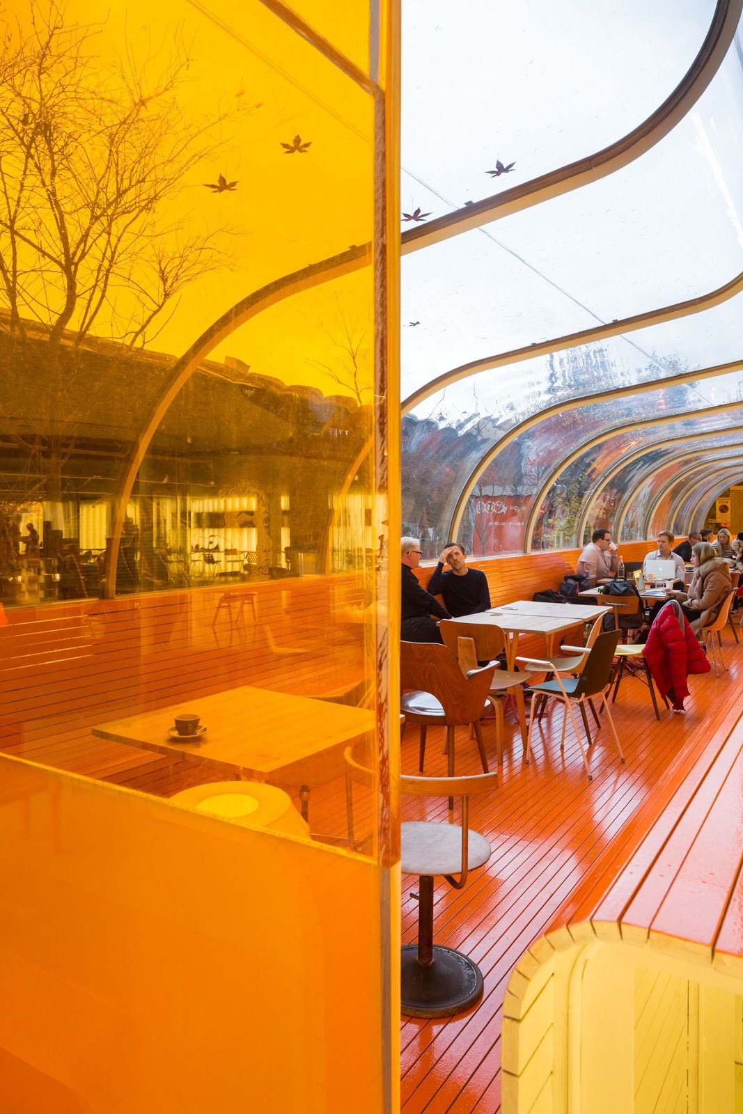 a f a s i a: SelgasCano