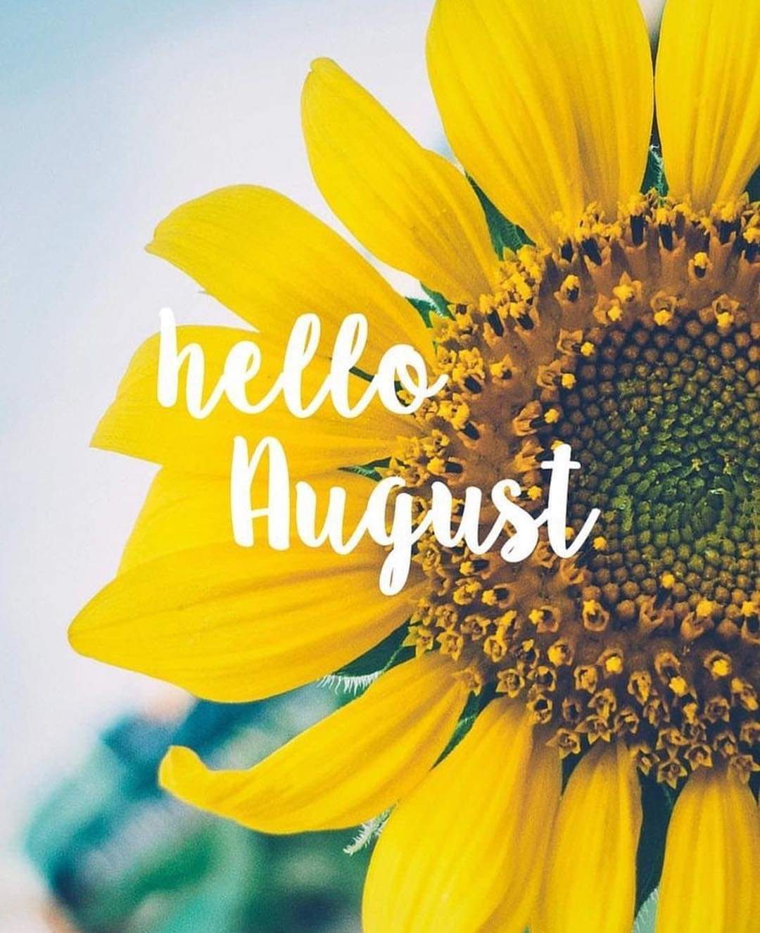 ByElisabethNL: Goodbye July and Welcome August!
