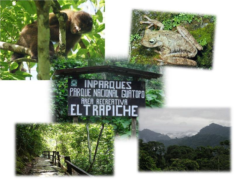 Tu Guia LLanera: Estado Guarico