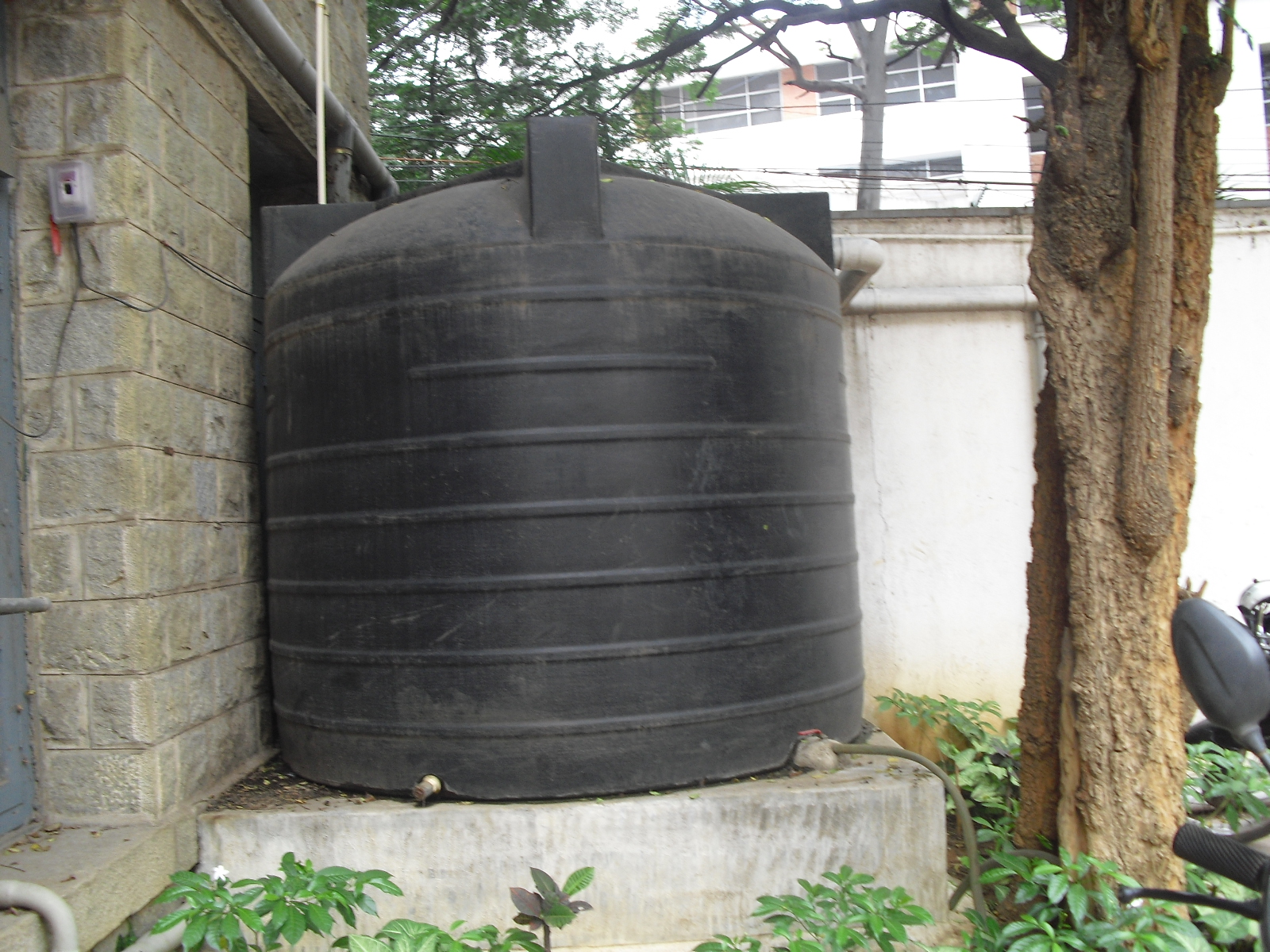 Journalists for Rainwater Harvesting: At last the rain has filled the ...