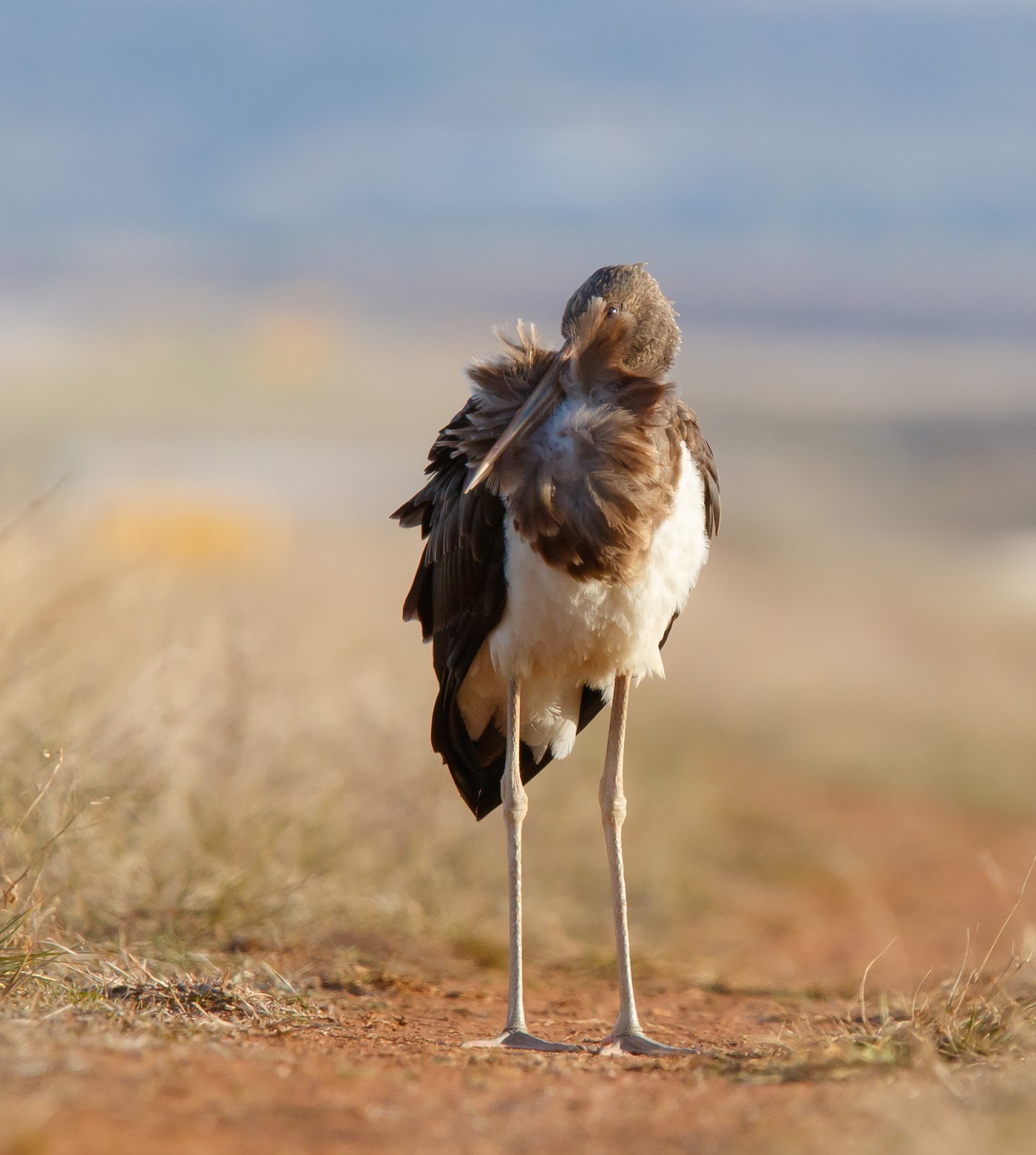 Nikos Fokas Photopraphy Blog