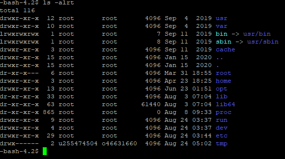 Basic and Commonly used command in Unix #DOTC_Mdb