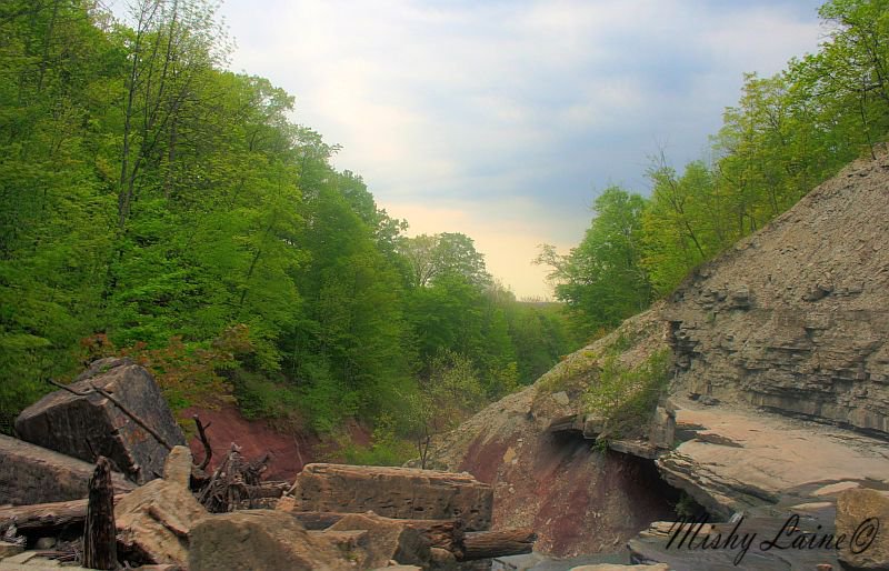 Mishy's Corner of the World: Upper Chedoke Falls- Hamilton, Ontario