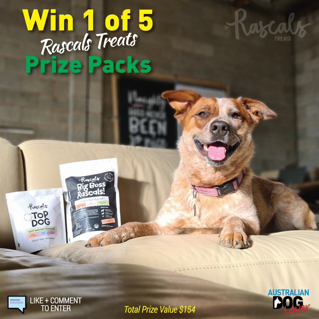 Win 1 of 5 Rascals Dog Treats Prizes | Australian Dog Lover