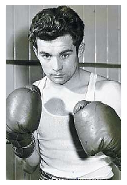 The Boxing Glove: Book Review: Reaching For the Stars: The Howard ...