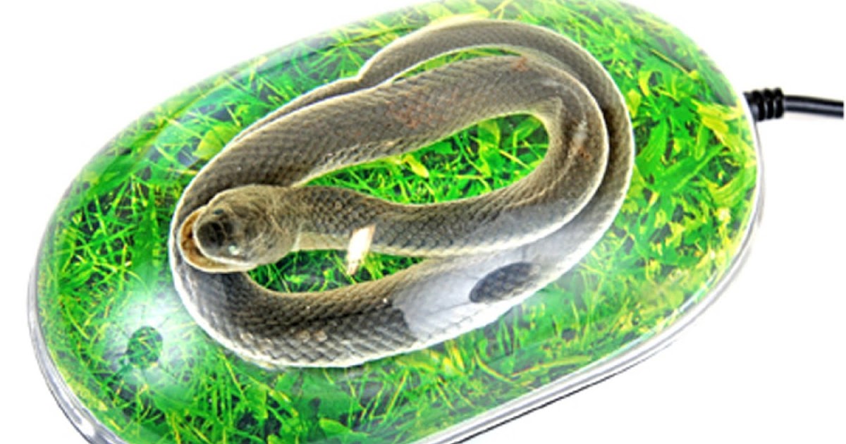 the Snake Computer Mouse