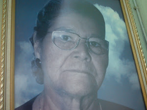 CEIBS "ROSA ISABEL ANGULO"