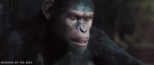 Archives Of The Apes: Rise Of The Planet Of The Apes (2011) Part 50