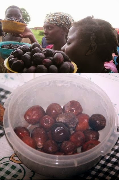 LUANDA TROPICAL: FRUTOS DE ANGOLA