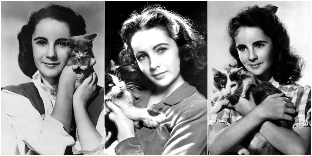 20 Lovely Vintage Photos of a Young Elizabeth Taylor Posing With Her ...