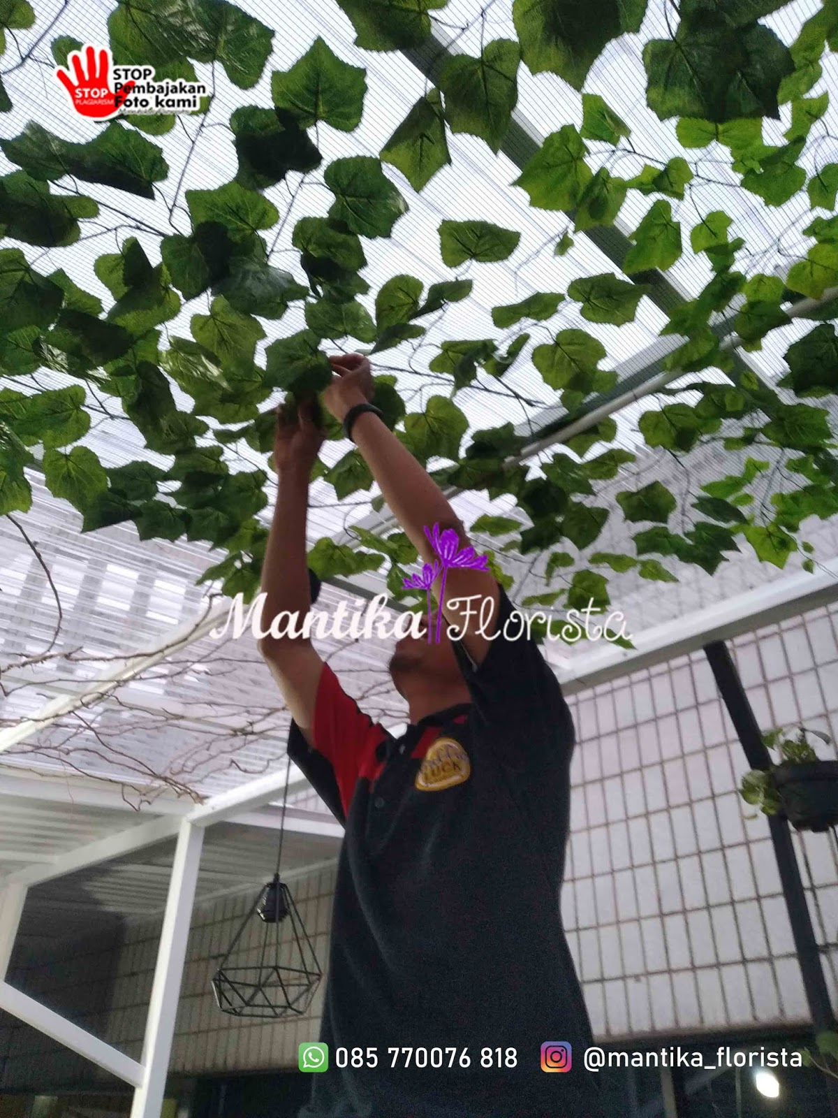 DEKORASI TANAMAN RAMBAT DI ROOFTOP CAFE