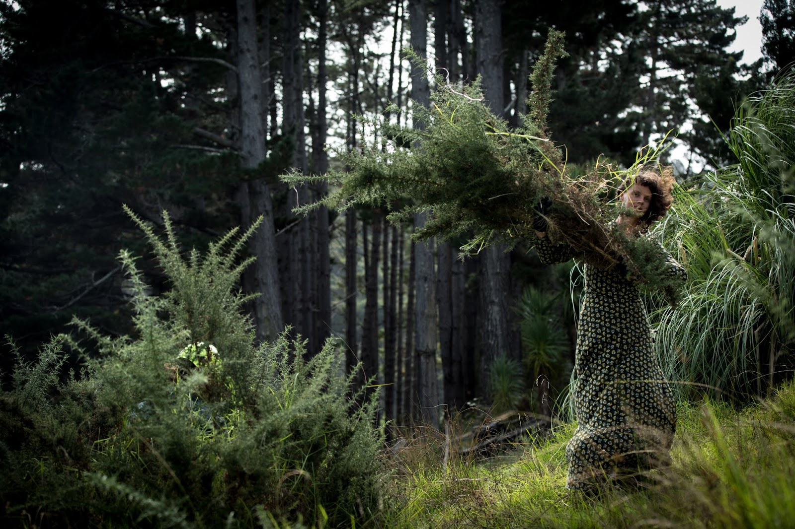 B r y d e e R o o d : A r t i s t