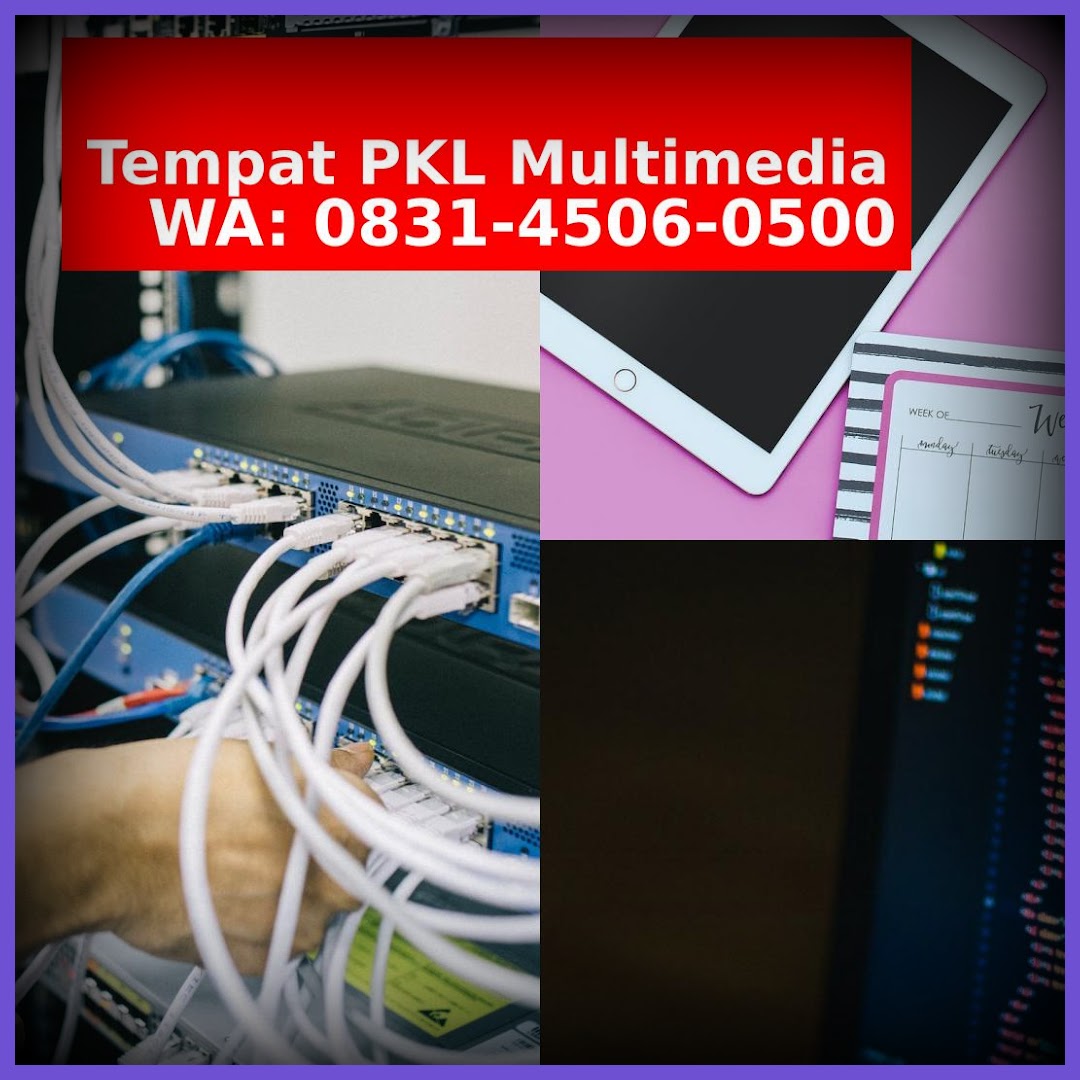 Tempat Magang Multimedia Di Bali – 0831·4506·0500 [wa] Harga Tempat Pkl ...