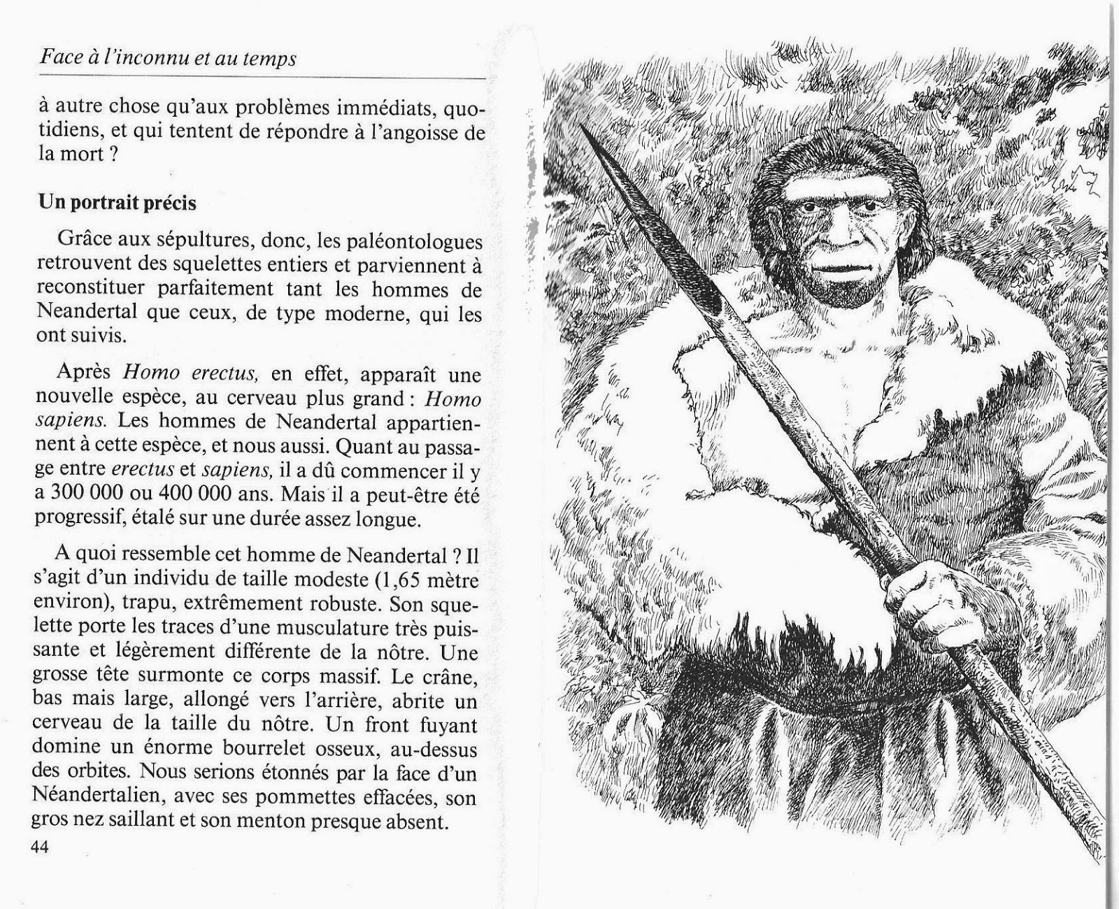 Leçons de choses: Les premiers hommes (Jean-Jacques Hublin)